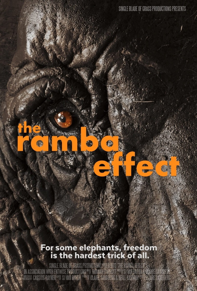 “The Ramba Effect” Best of the Fest Series (at LCCA), Fri, March 27 ...